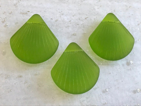 Frosted Lime Green Large Clamshell Cultured Sea Glass | Etsy