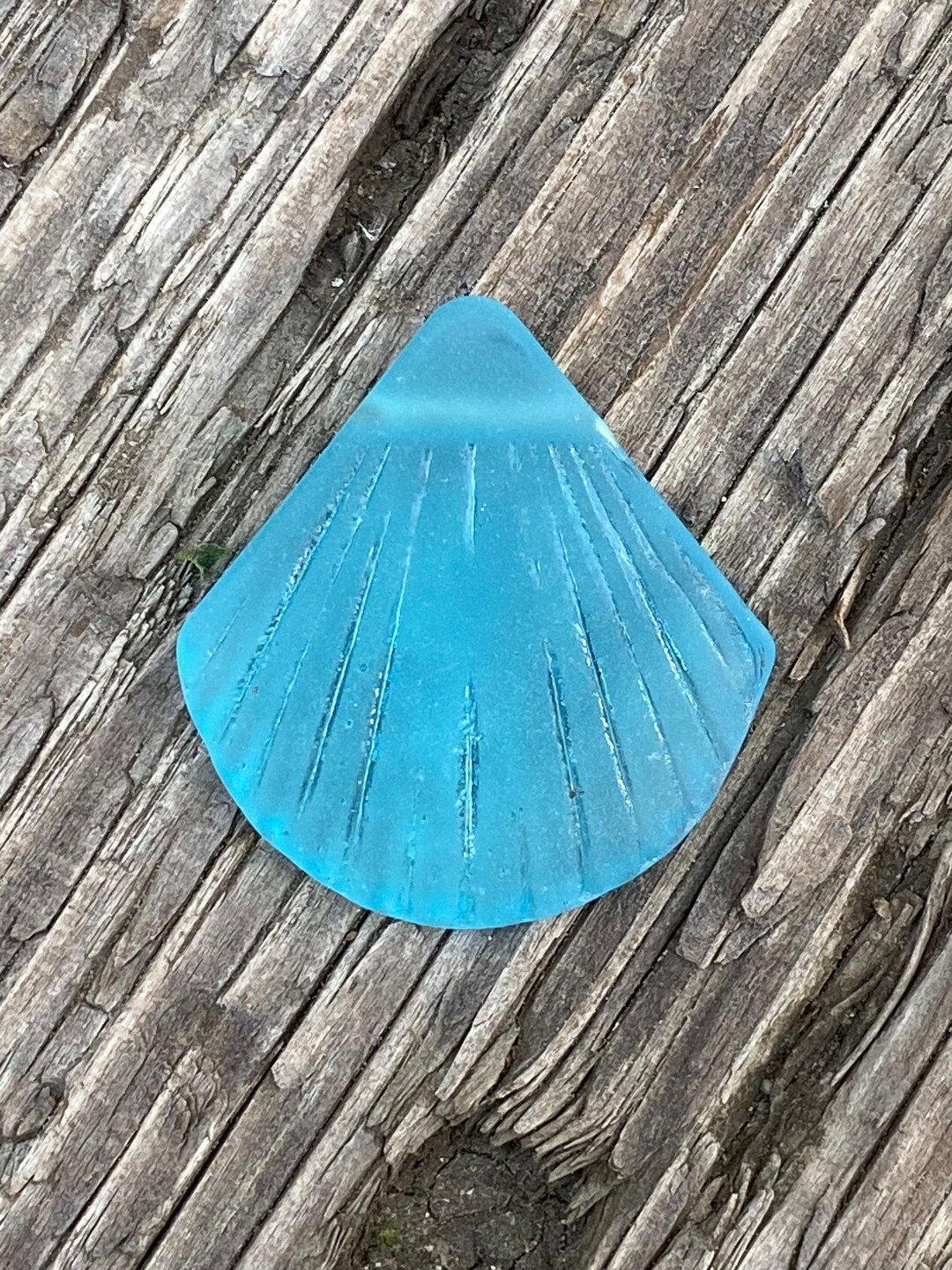 Frosted Turquoise Bay Aqua Large Clamshell Sea Glass (seaglass), Side ...