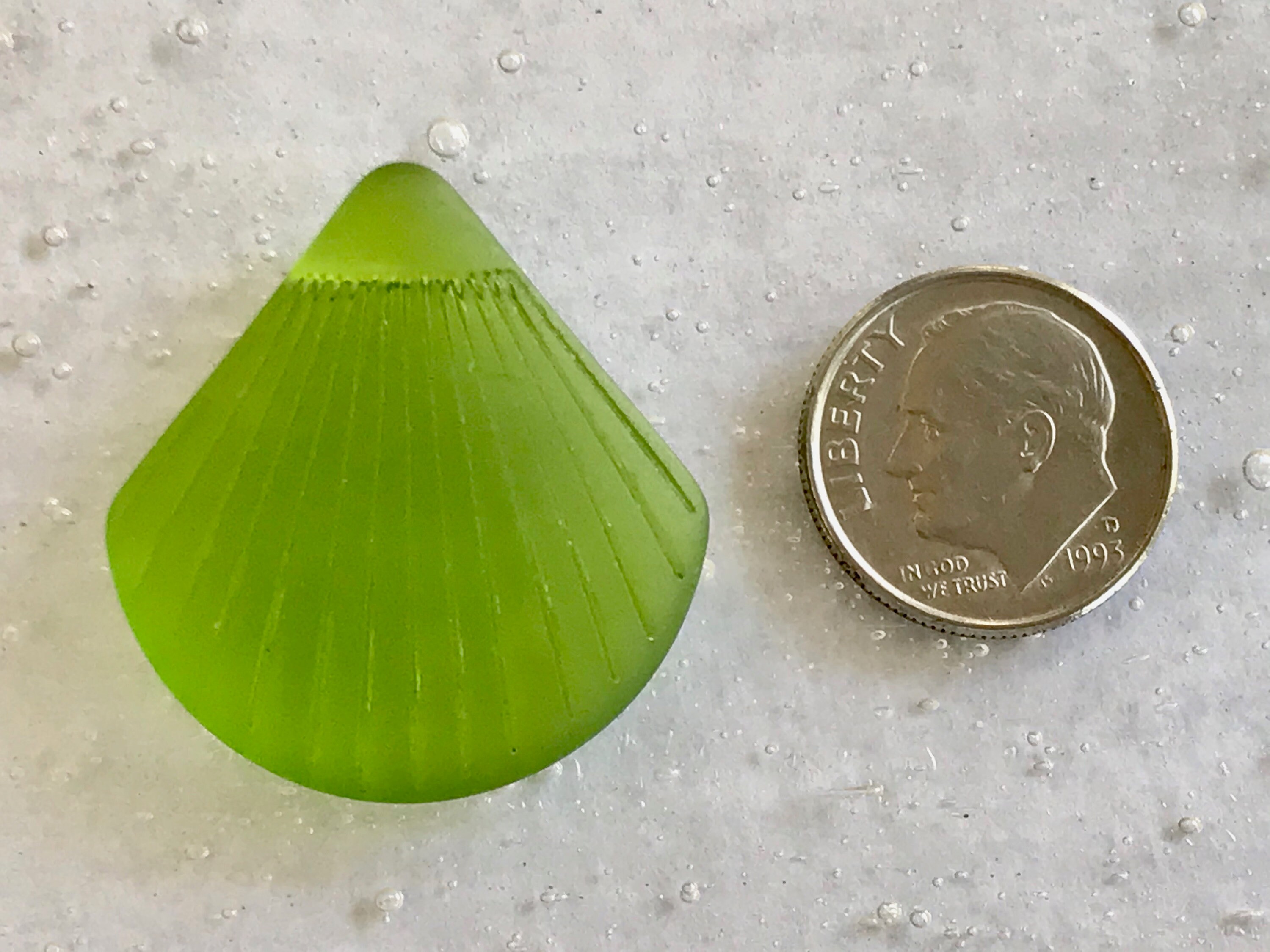 Frosted Lime Green Large Clamshell Cultured Sea Glass | Etsy