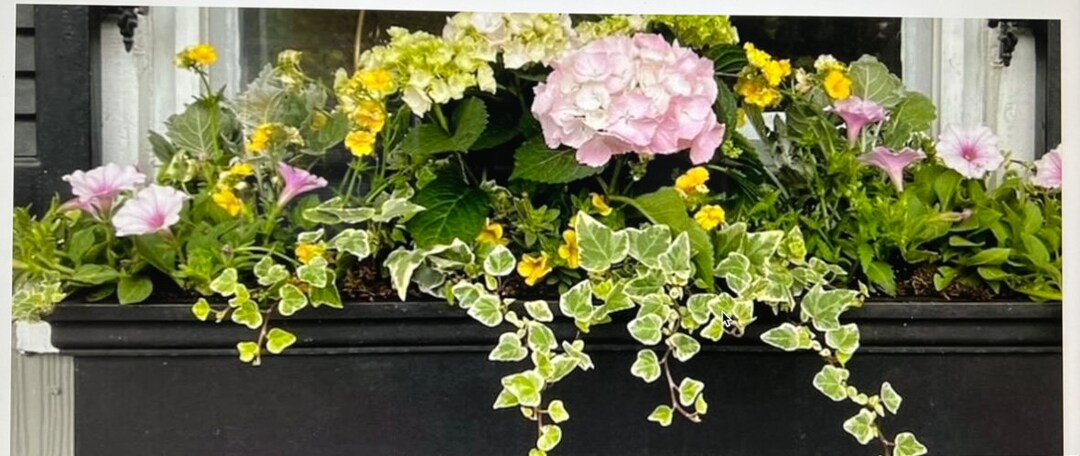 Custom Window Box Silk Flowers to Fit Your 70 Window Box Light Pink and ...