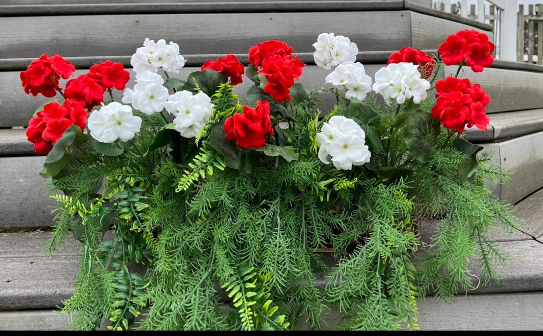 Red White Geraniums Alternated With Cascading Green Plants Floral Silk ...