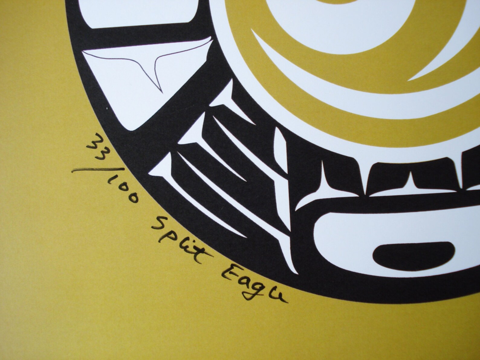 Northwest Coast Native Art Haida Split Eagle Ltd Edition Print Signed ...