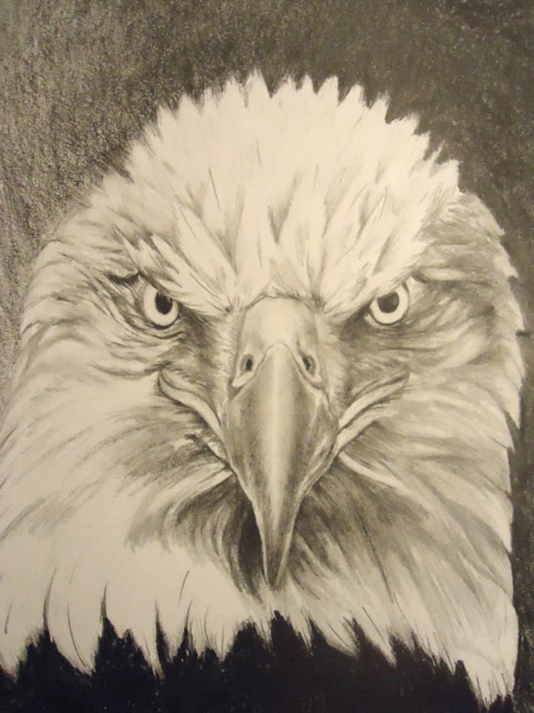 American Bald Eagle. Fierce Eagle. American Eagle. Drawing/portrait ...