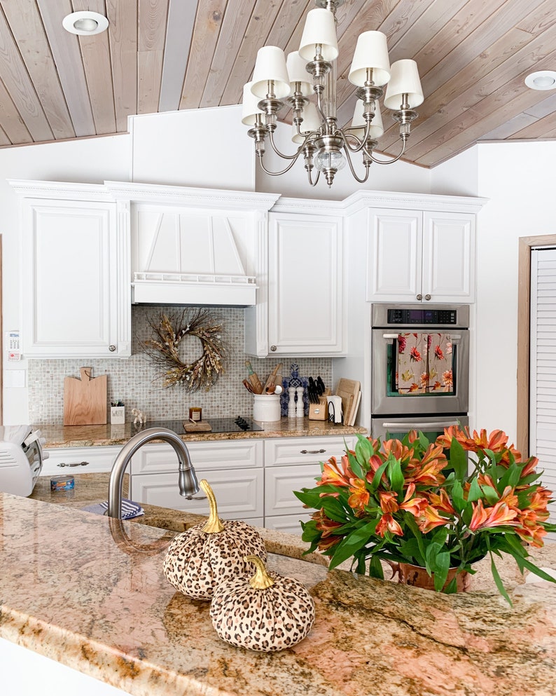 Leopard Print Pumpkins (the Set) - Etsy