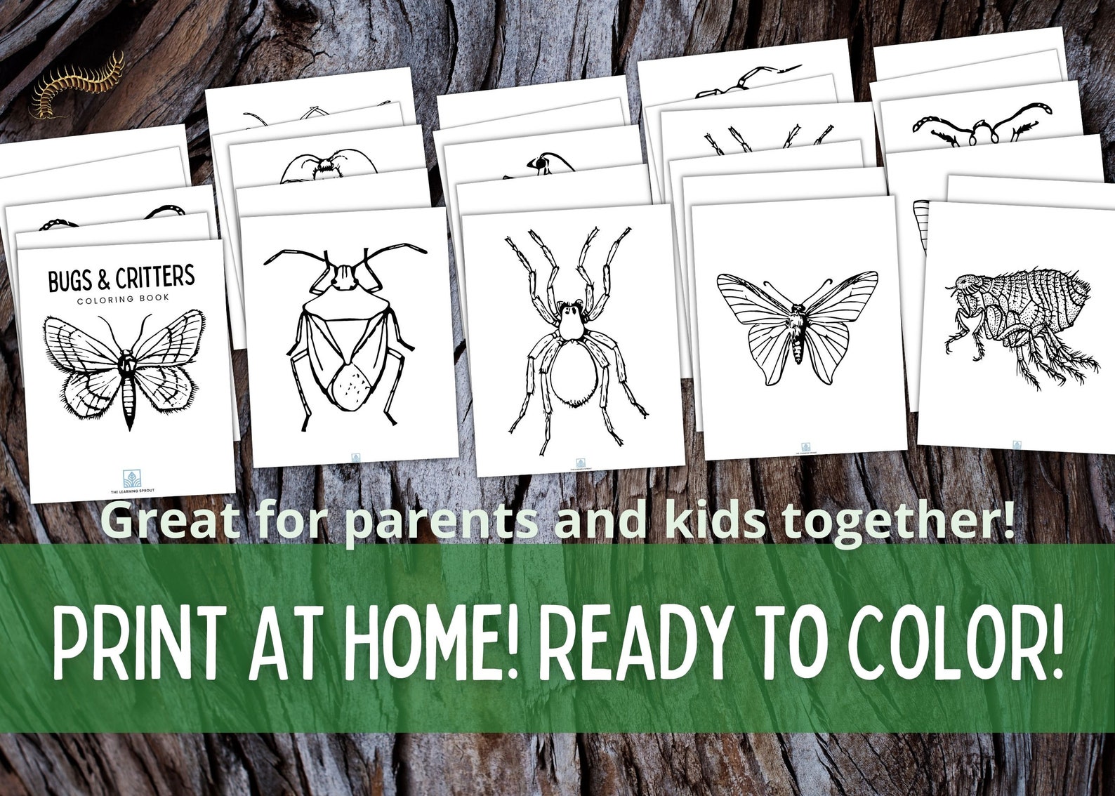 Bug Coloring Book / Insect Printable / Butterfly Coloring Pages - Etsy