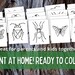 Bug Coloring Book / Insect Printable / Butterfly Coloring Pages - Etsy