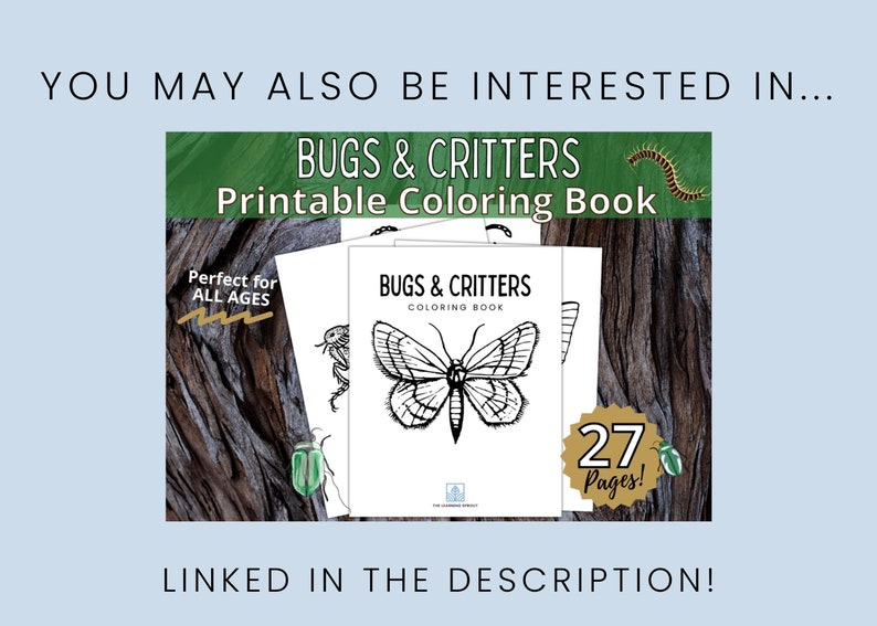 Bug Printable Bookmarks / Insect Coloring Pages / Butterfly Bookmark ...