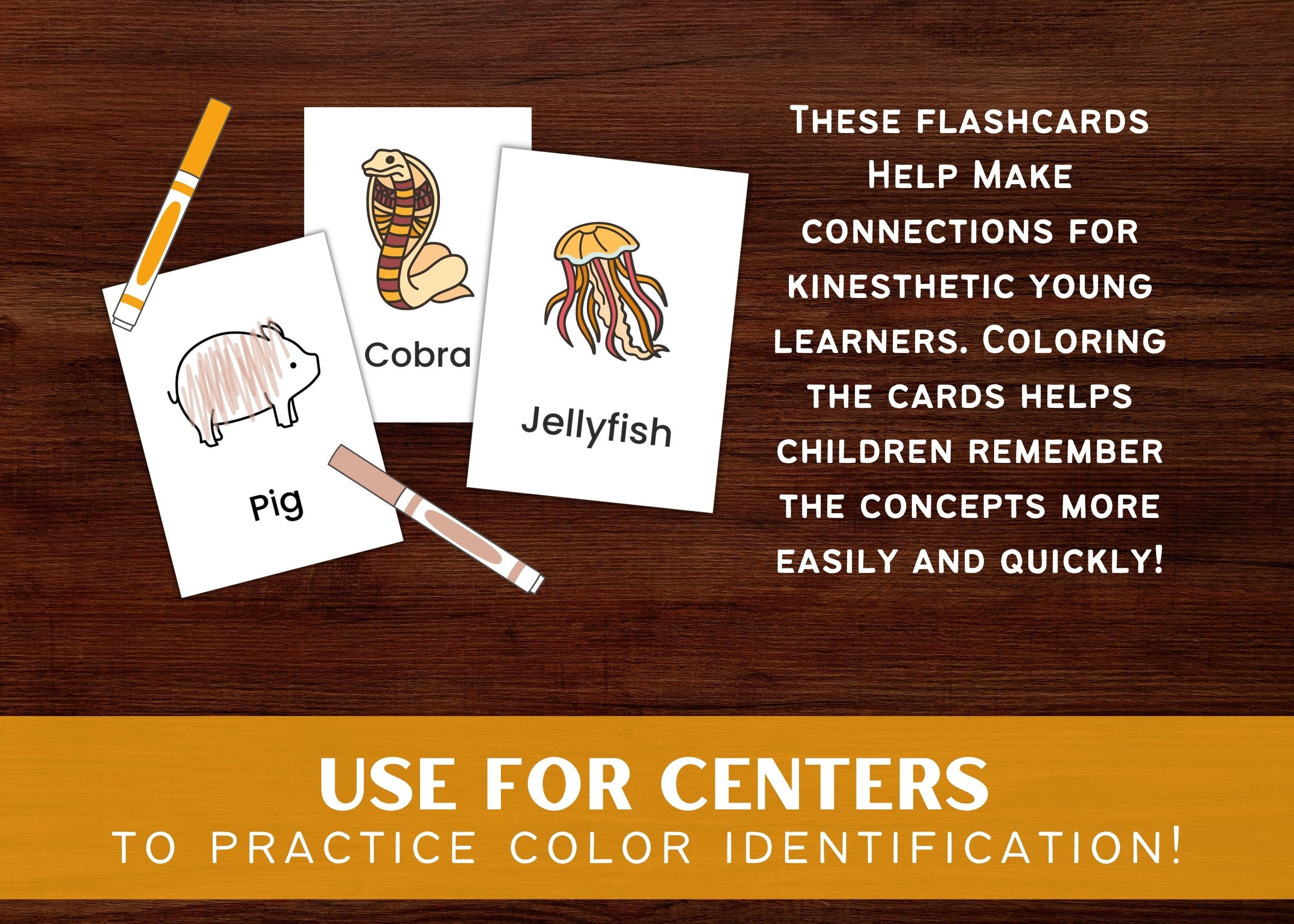 Animals Flashcards / Printable Coloring Animal Flash Cards - Etsy