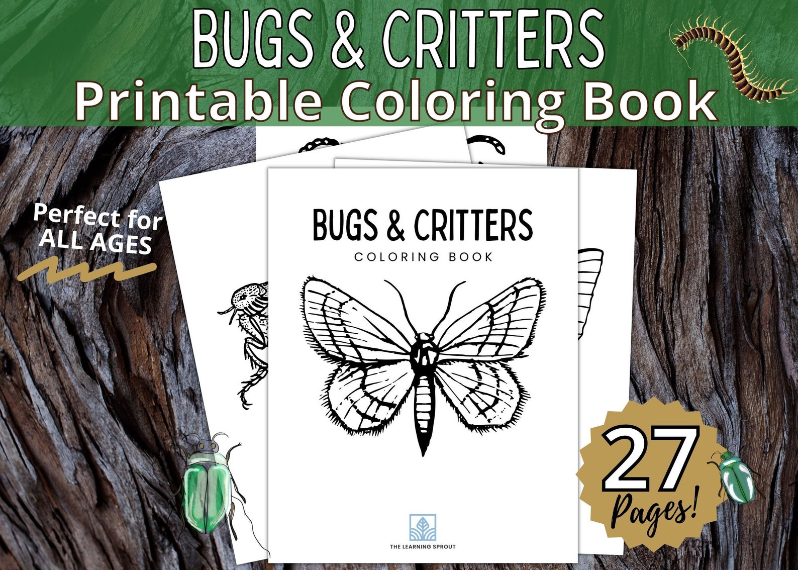 Bug Coloring Book / Insect Printable / Butterfly Coloring Pages - Etsy