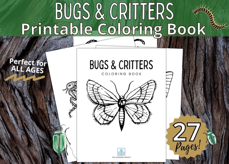 Bug Coloring Book / Insect Printable / Butterfly Coloring Pages ...