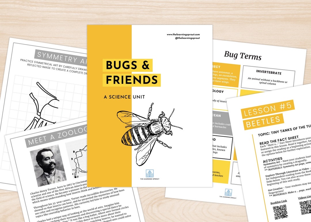Bug Unit Study Elementary Science Homeschool Nature Study Curriculum ...