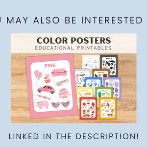 Color Printable Flashcards / Preschool Educational Game - Etsy