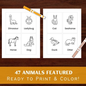 Preschool Printable Flash Cards Bundle, Color Flashcards, Printable ...