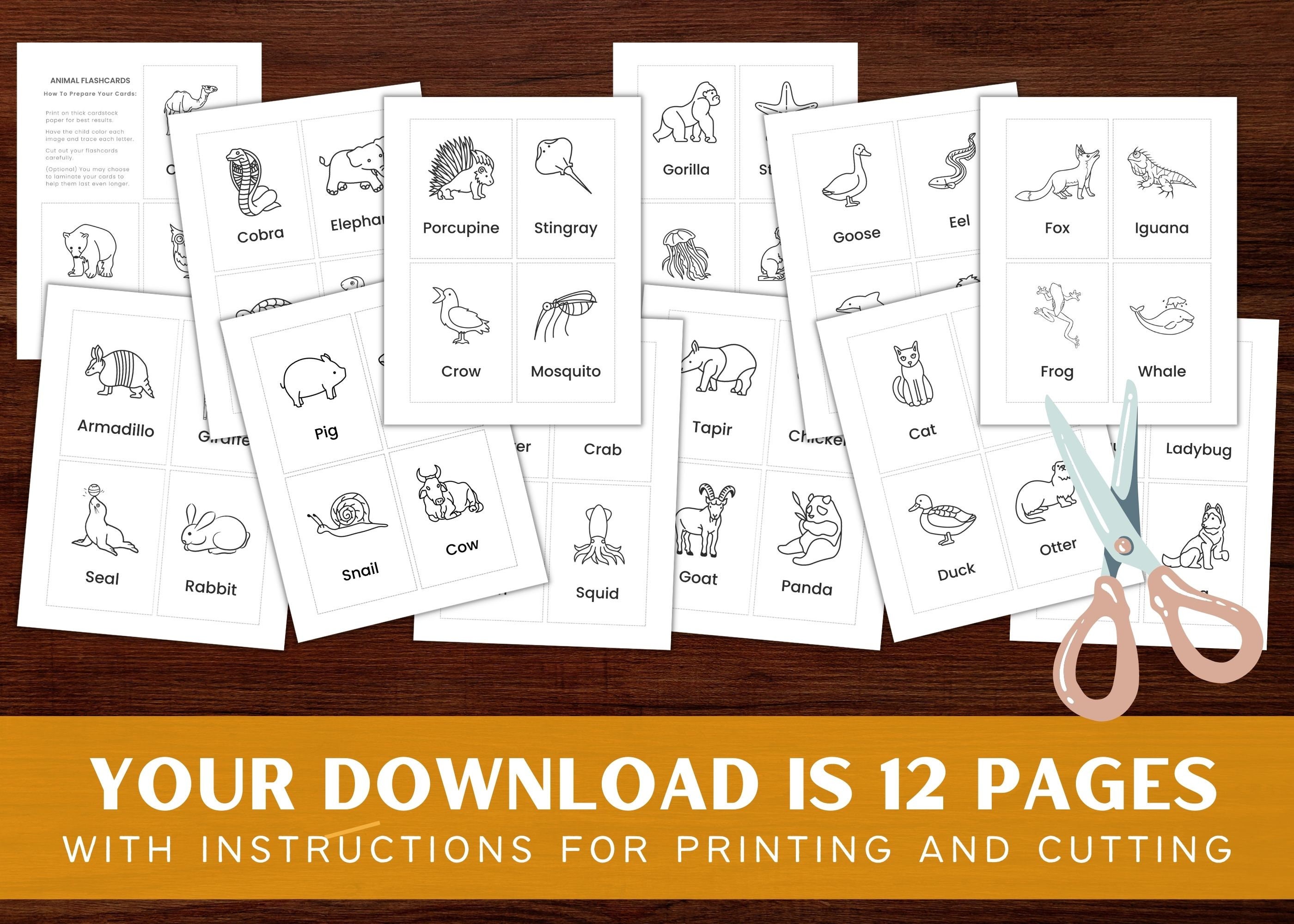 Animals Flashcards / Printable Coloring Animal Flash Cards - Etsy