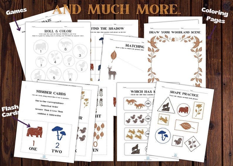 Woodland Activity Pack / Fall Quiet Book / Autumn Preschool Worksheets ...