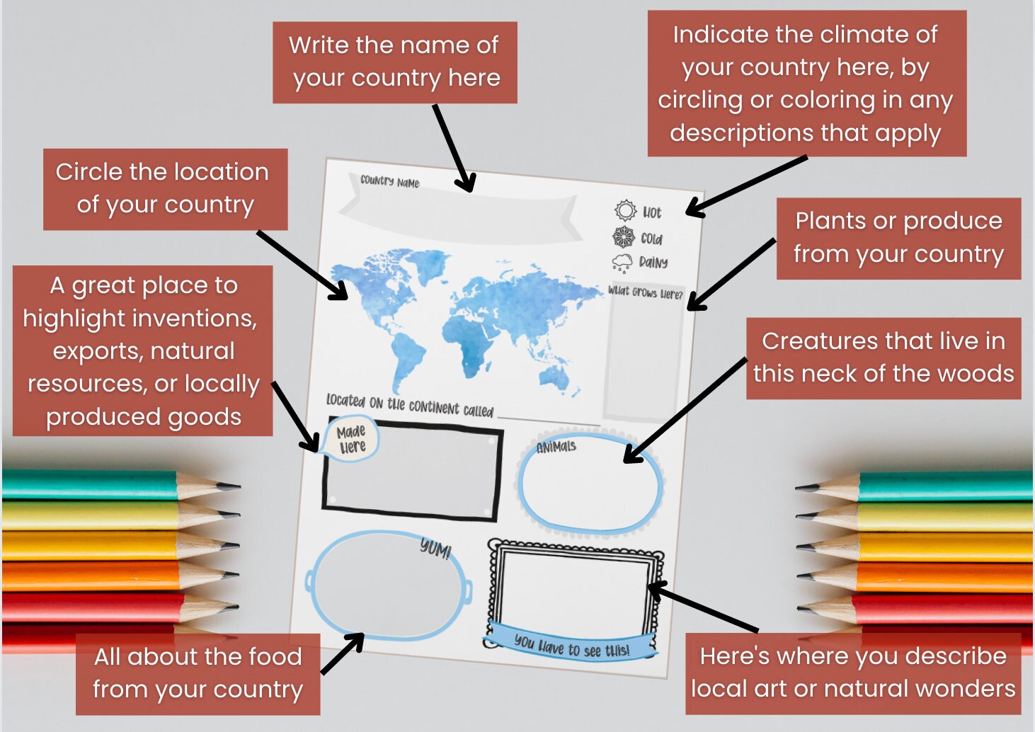 Country Study Geography Printable / Social Studies Worksheet Digital ...