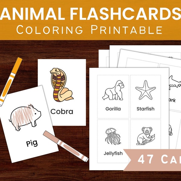 Animal Flash Cards - Etsy