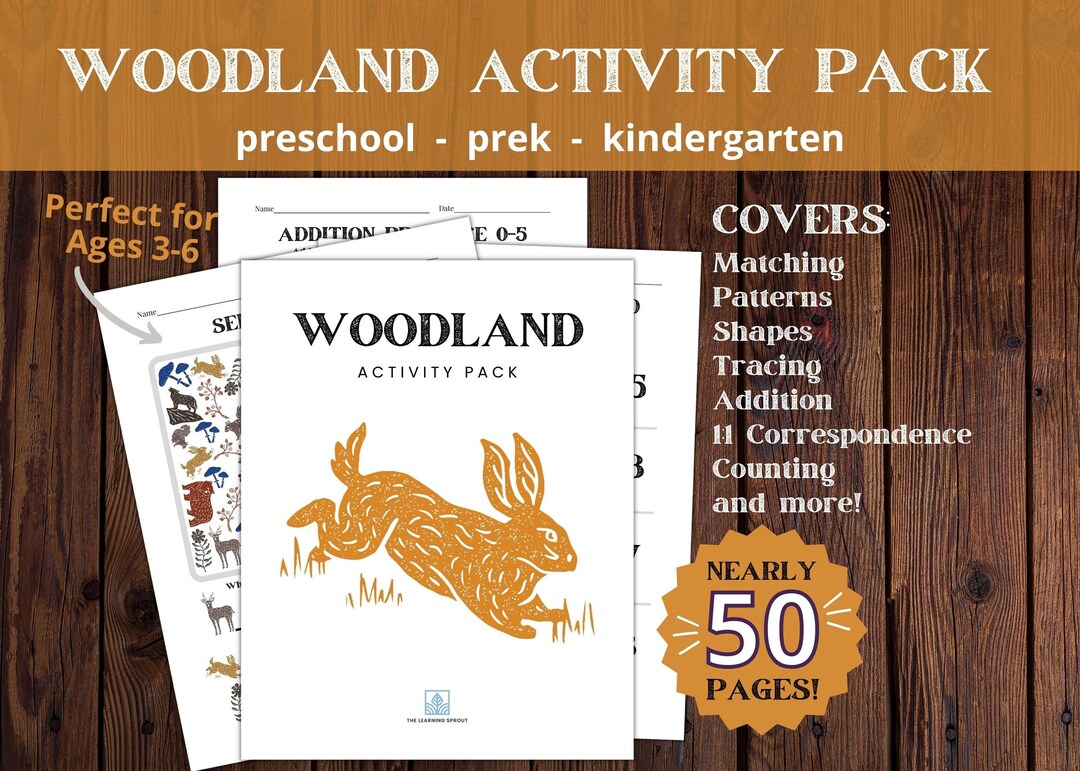 Woodland Activity Pack / Fall Quiet Book / Autumn Preschool Worksheets ...