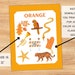 Color Classroom Posters / Preschool Classroom Decor / Learn Colors ...