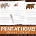 Tracing Preschool Worksheets Handwriting Printable Bundle - Etsy