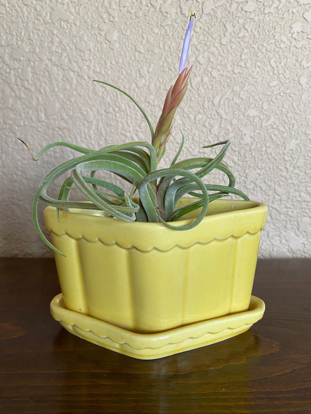 Unmarked Small Yellow Planter - Etsy