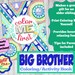 Big Brother to My Baby Sister Coloring and Activity Book, Becoming a ...
