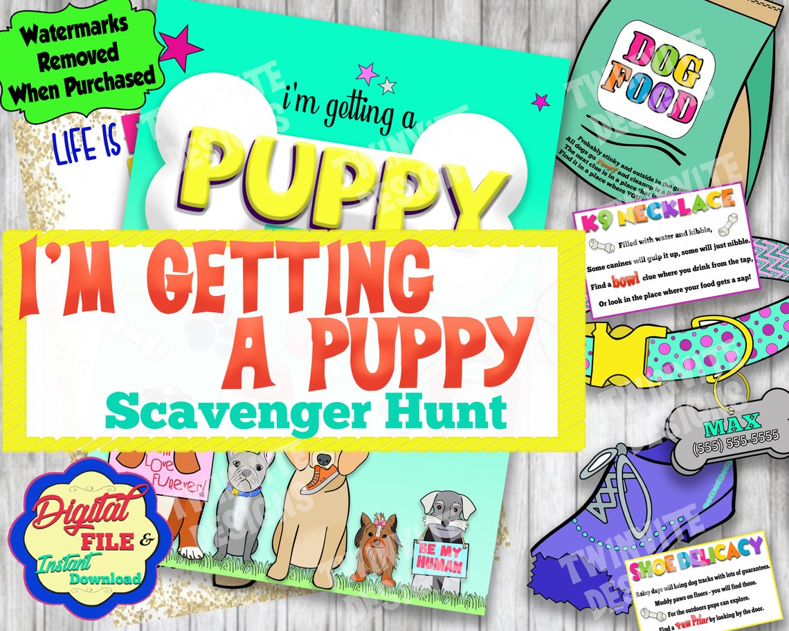 Im Getting a Puppy Scavenger Hunt, New Dog Reveal, Treasure Hunt Clues ...