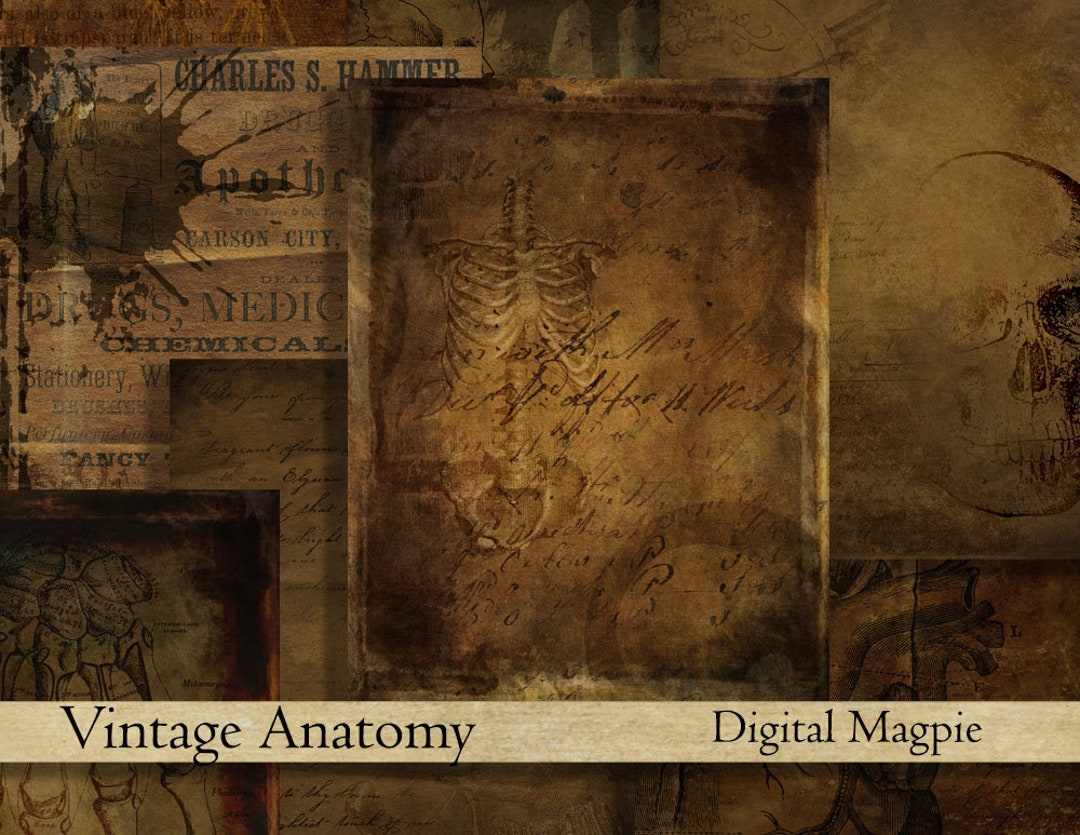 Anatomy Vintage Digital Paper Pack Dark Skull Medical Printable ...