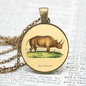 1 Inch Circles Vintage Wild Animals Digital Collage Sheet - Etsy