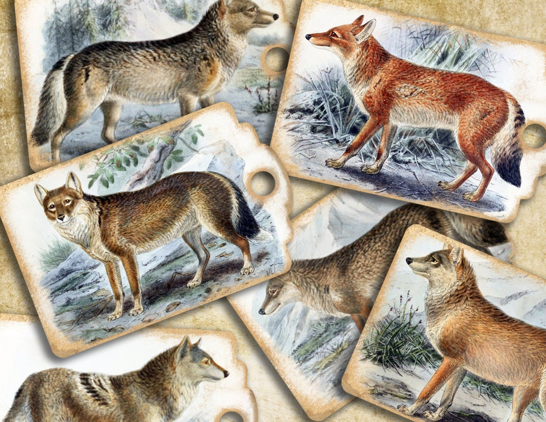 Wolves Printable Tags Digital Download Vintage Wolf Aged Digital Gift ...