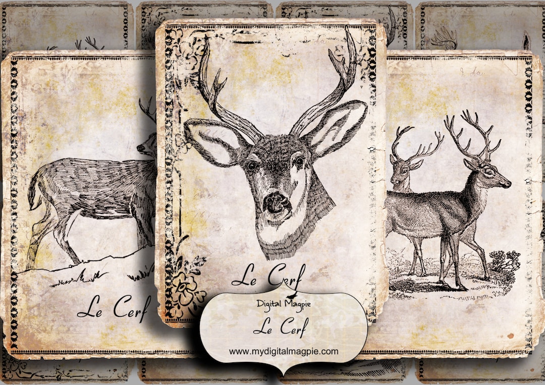 Digital Download Shabby Printable Deer Tag ATC 2.5 X 3.5 Inch Vintage ...