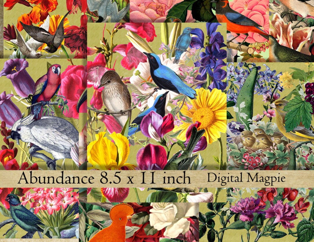 Digital Paper Pack Scrapbook Paper Birds Foliage Floral Colorful ...