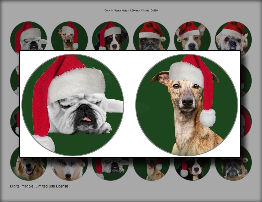 Digital Collage Sheet Christmas Dogs in Santa Hats 1.5 Inch Circles ...
