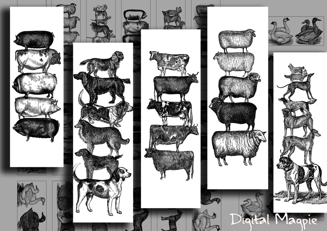 1x3 Inch Images Microslide Animal Stack Tower Digital Collage | Etsy