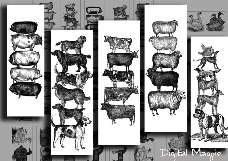 1x3 Inch Images Microslide Animal Stack Tower Digital Collage | Etsy