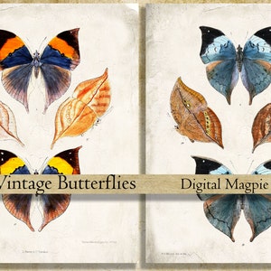 Vintage Butterflies Digital Scrapbook Paper Printable Shabby Victorian ...