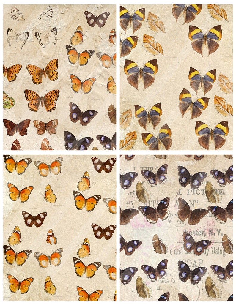 Shabby Vintage Butterflies Digital Paper Pack Printable - Etsy