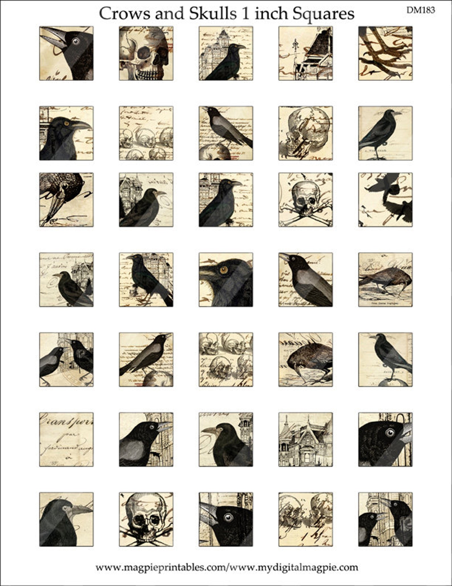 Halloween Digital Collage Sheet 1 Inch Squares Crows and - Etsy