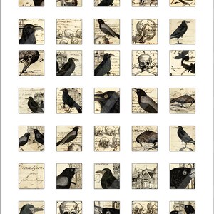Halloween Digital Collage Sheet 1 Inch Squares Crows and Skulls Instant ...