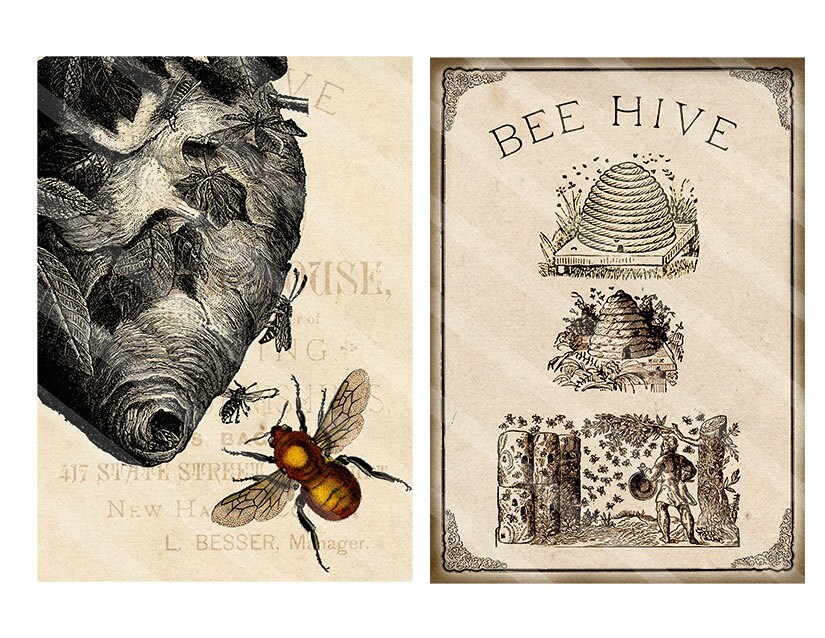 Bees digital collage sheet vintage shabby honey bee image | Etsy