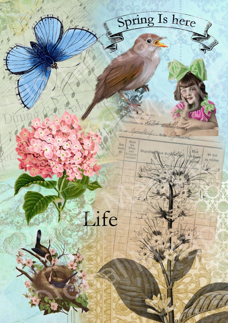 5 Spring Digital Collage Sheets for Art Journals Scrapbooks - Etsy UK