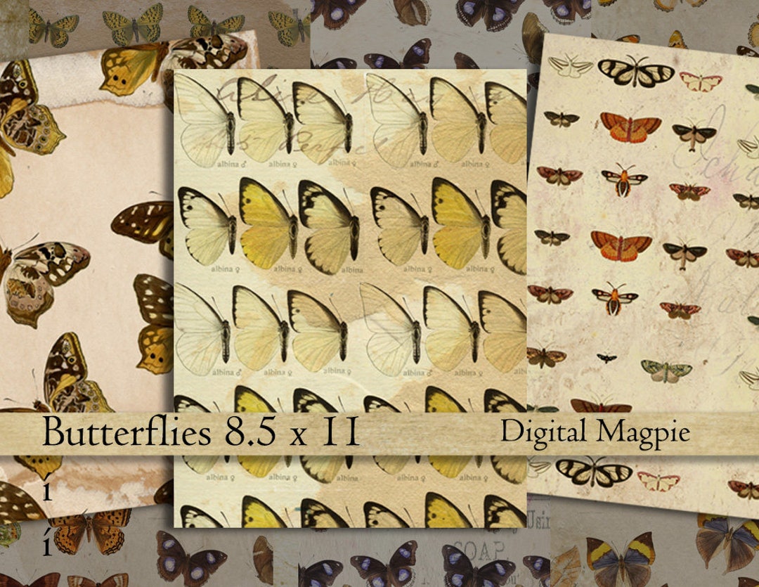 Shabby Vintage Butterflies Digital Paper Pack Printable Scrapbook Old ...