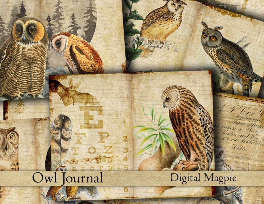 Printable Diy Journal Pages Vintage Owls Digital Paper Pack Grunge ...