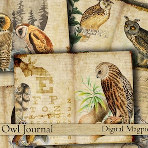 Printable Diy Journal Pages Vintage Owls Digital Paper Pack Grunge ...