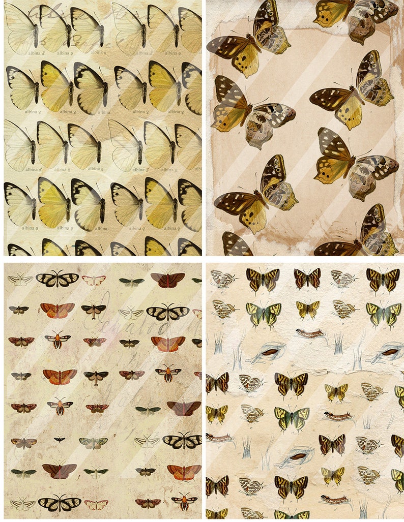 Shabby Vintage Butterflies Digital Paper Pack Printable - Etsy