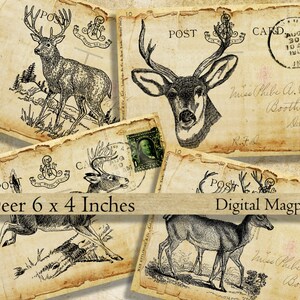 Shabby Deer Digital Paper Collage Sheet 6 X 4 Inch Printable Old ...