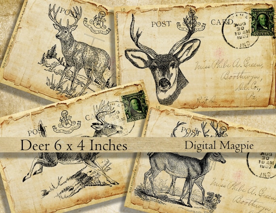 Shabby deer digital paper collage sheet 6 x 4 inch printable | Etsy
