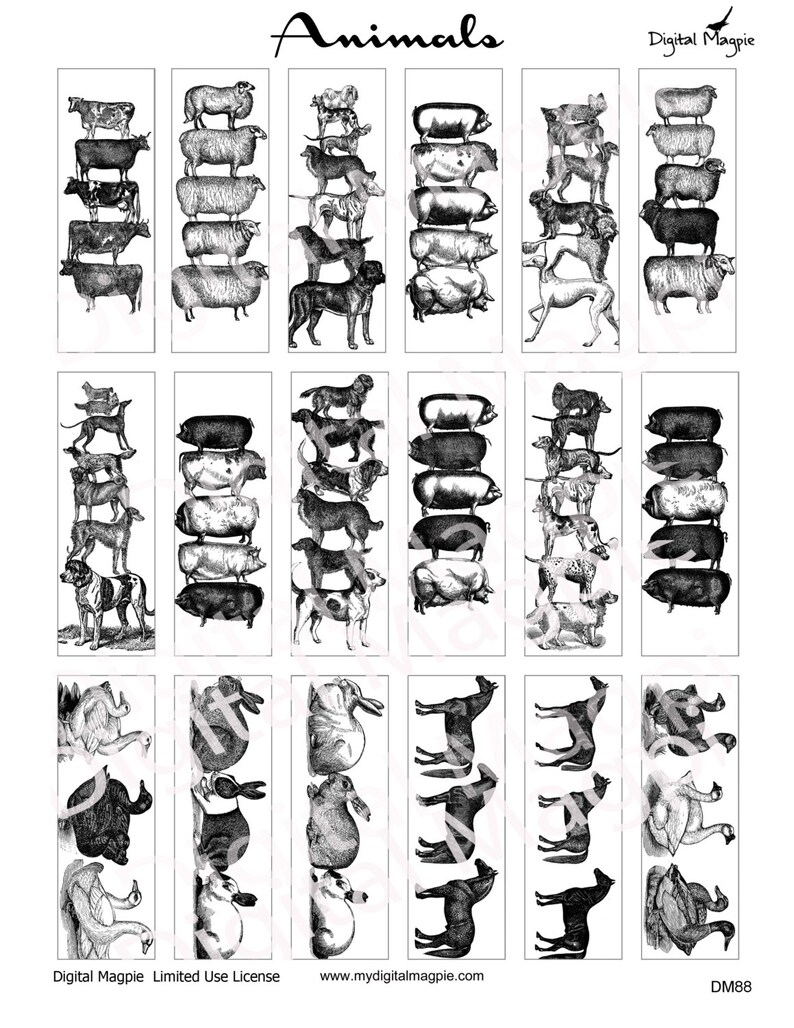 1x3 Inch Images Microslide Animal Stack Tower Digital Collage | Etsy