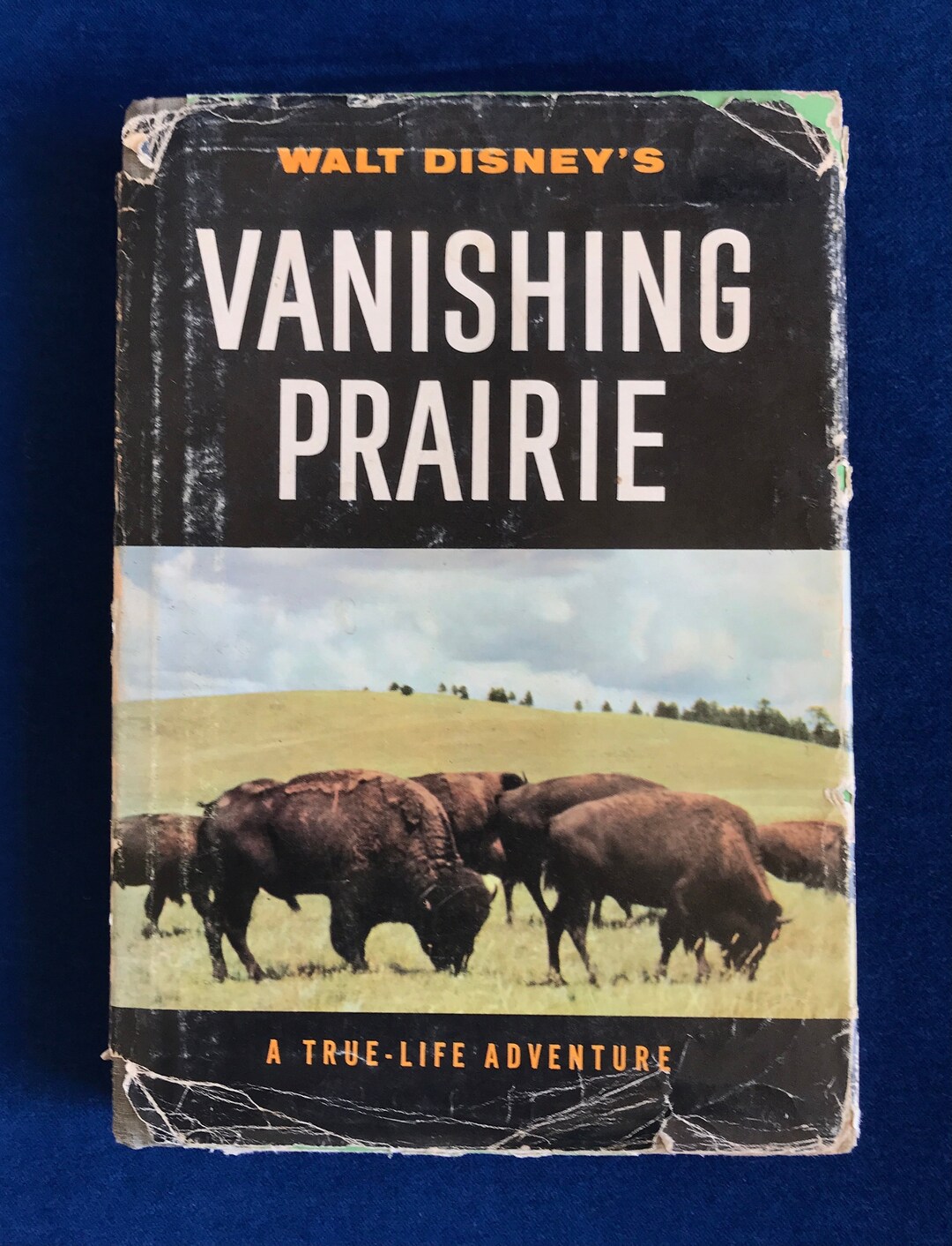 Walt Disney's Vanishing Prairie: A True-life Adventure Movie Tie-in ...