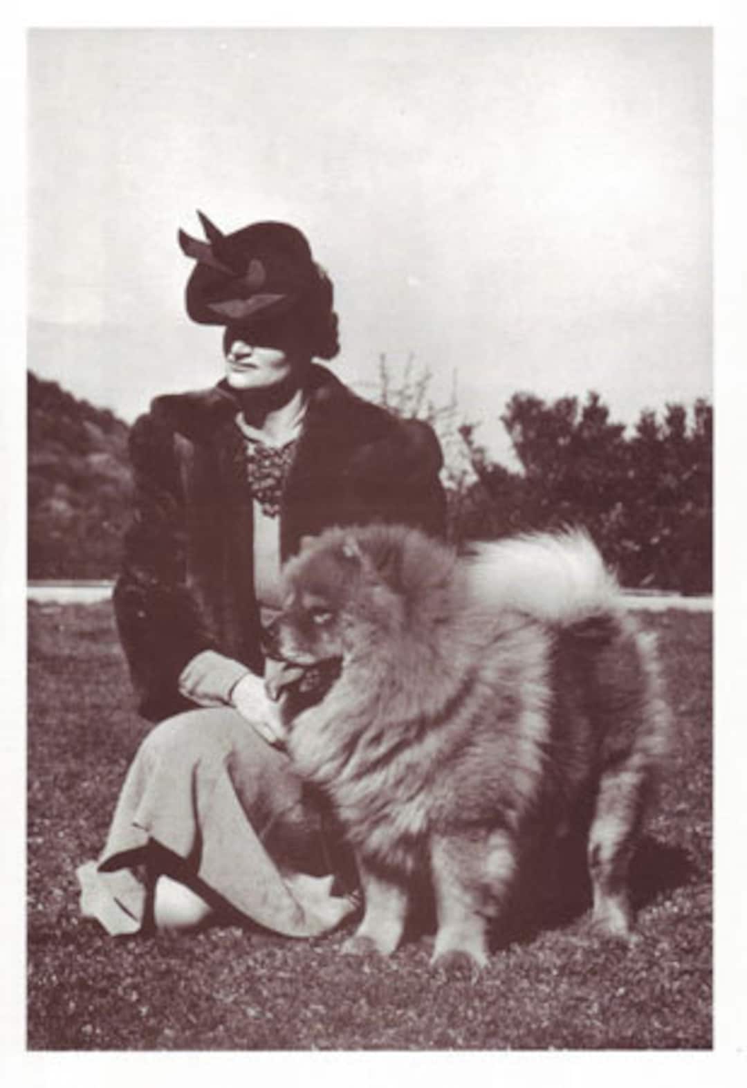 Woman and Her Chow Chow Vintage Photo - Note Card - Etsy